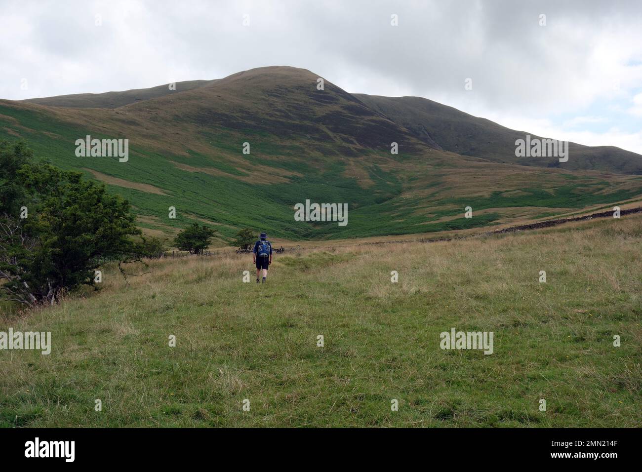 Man Walking to 'Fell Head' one of the Howgilll Hills from Howgill in ...