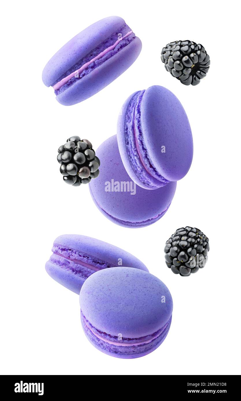 Blue macaroons and blackberries levitation, vertical isolated on white ...