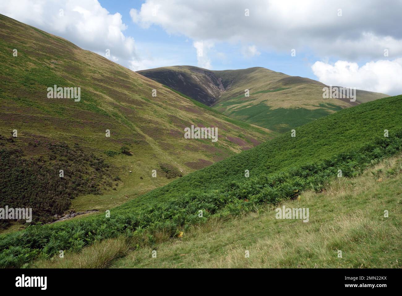 Fell Head from near Long Rigg Beck on route White Fell & The Calf on ...