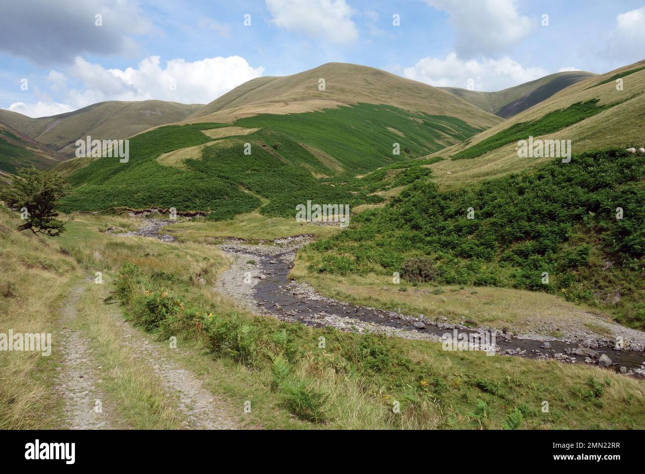 The Track in Chapel Beck to Long Rigg Beck and White Fell & The Calf on ...