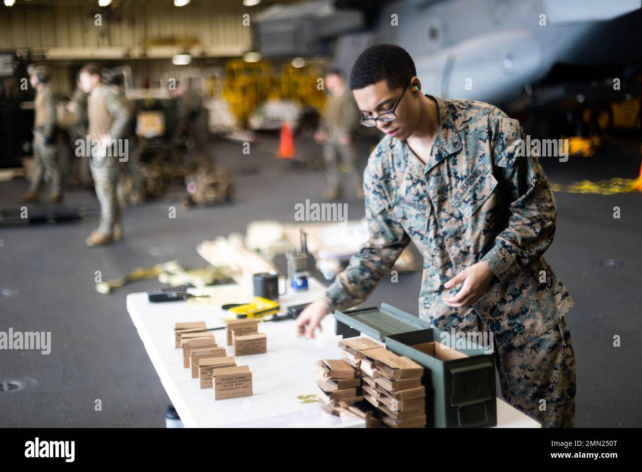 Osperey hi-res stock photography and images - Alamy