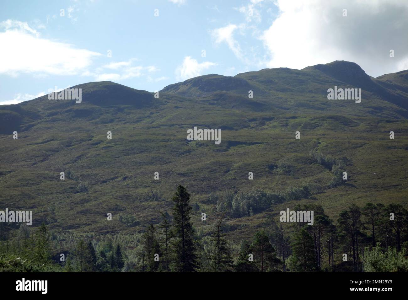 The N/E Ridge to the Scottish Mountain Corbett Sgurr na Feartaig from ...