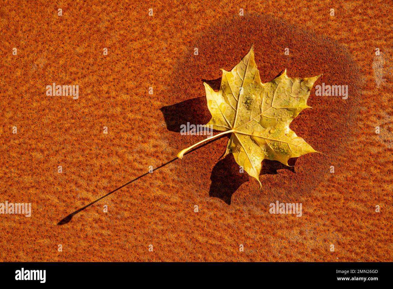 Weathering steel hi-res stock photography and images - Alamy