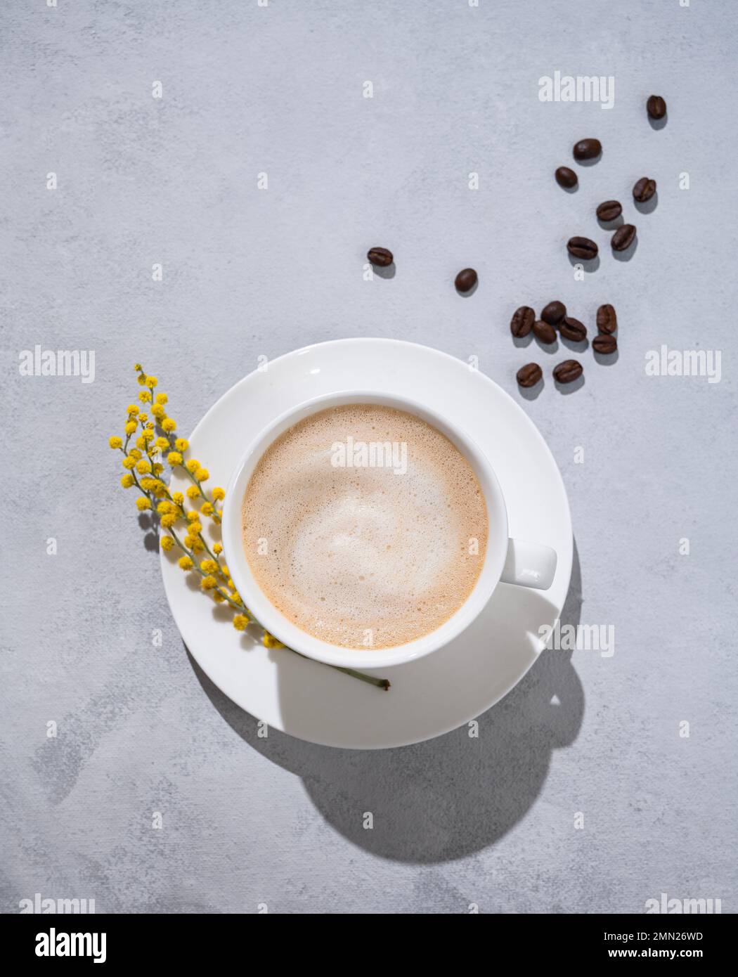 A cup of coffee cappuccino with spring flower mimosa on a light ...