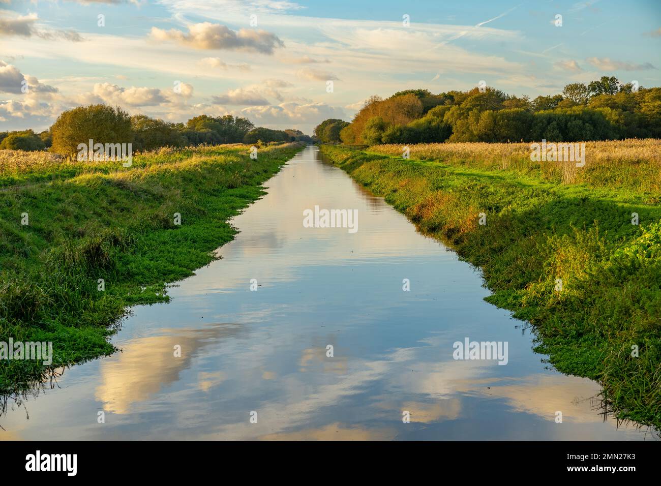 South Drain river near Ham Wall. In the Somerset marshes Stock Photo ...
