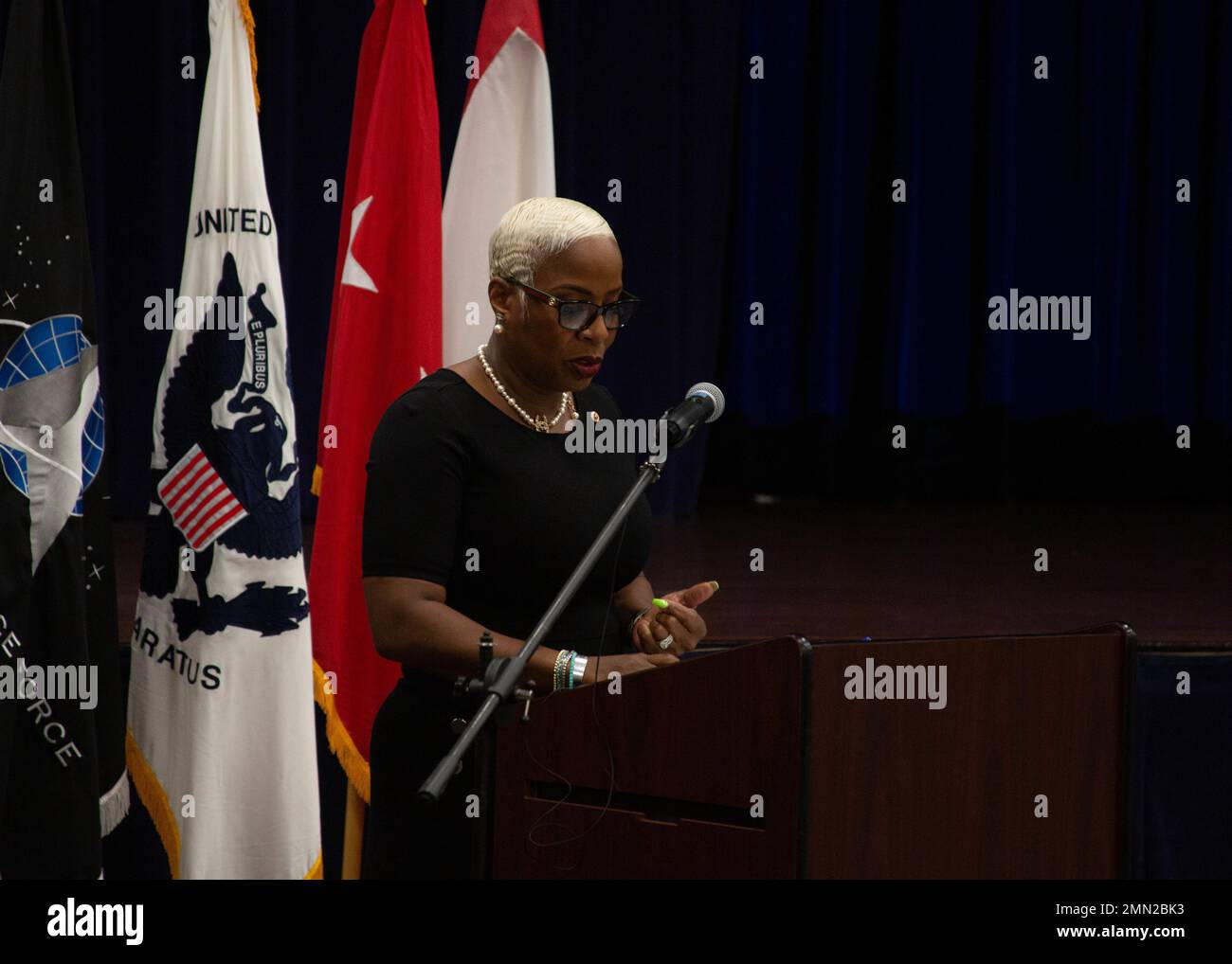 Dr. Carla Sizer, a Gold Star Mother and retired U.S. Air Force officer ...