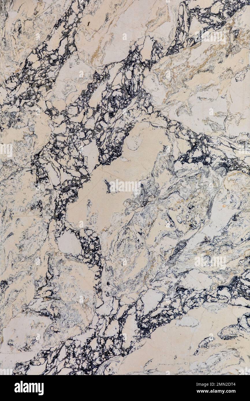 close up of pattern of cream coloured marble with black veins Stock ...