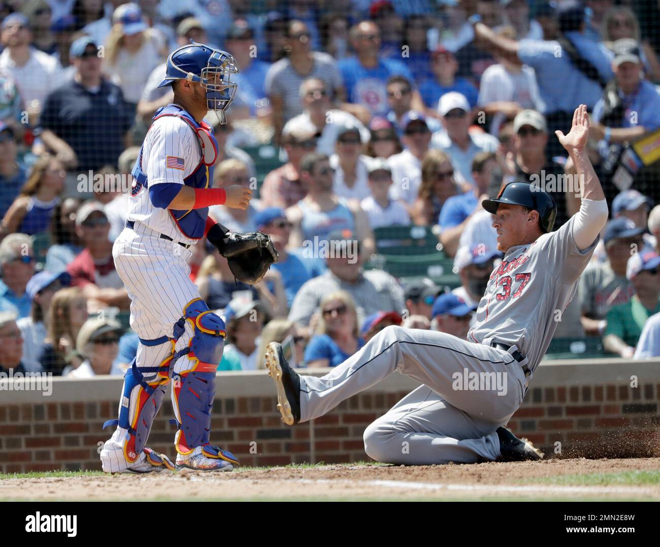 Detroit Tigers' Jim Adduci, right, scores in front of Chicago Cubs ...