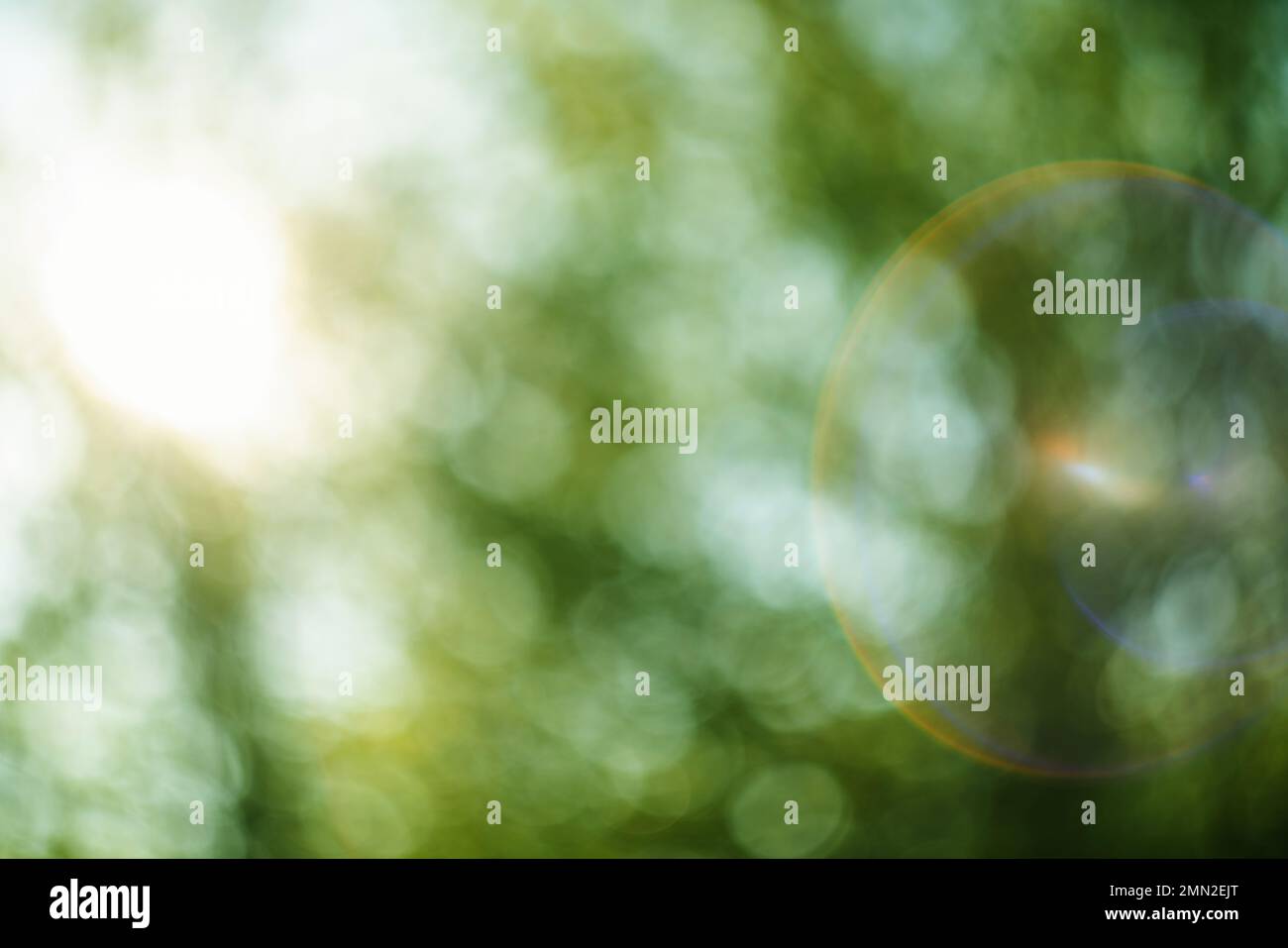 Spring and summer color hi-res stock photography and images - Alamy