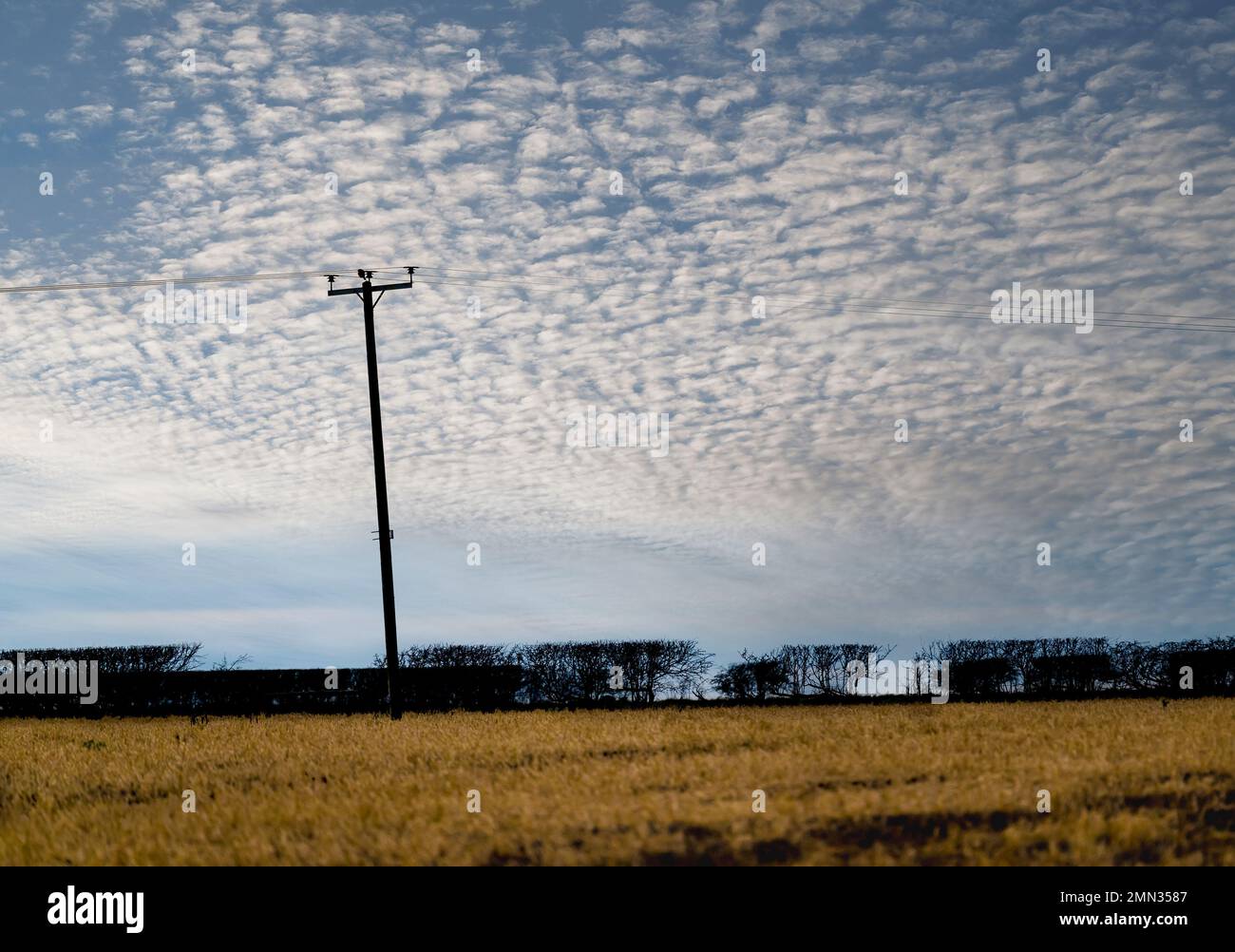 Wooden telegraph poles hi-res stock photography and images - Alamy