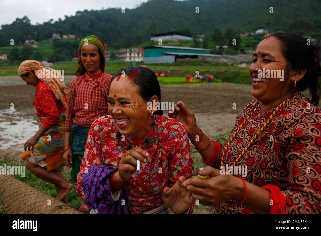 Nepalese farmers share a laugh in a paddy field during Asar Pandra, or ...