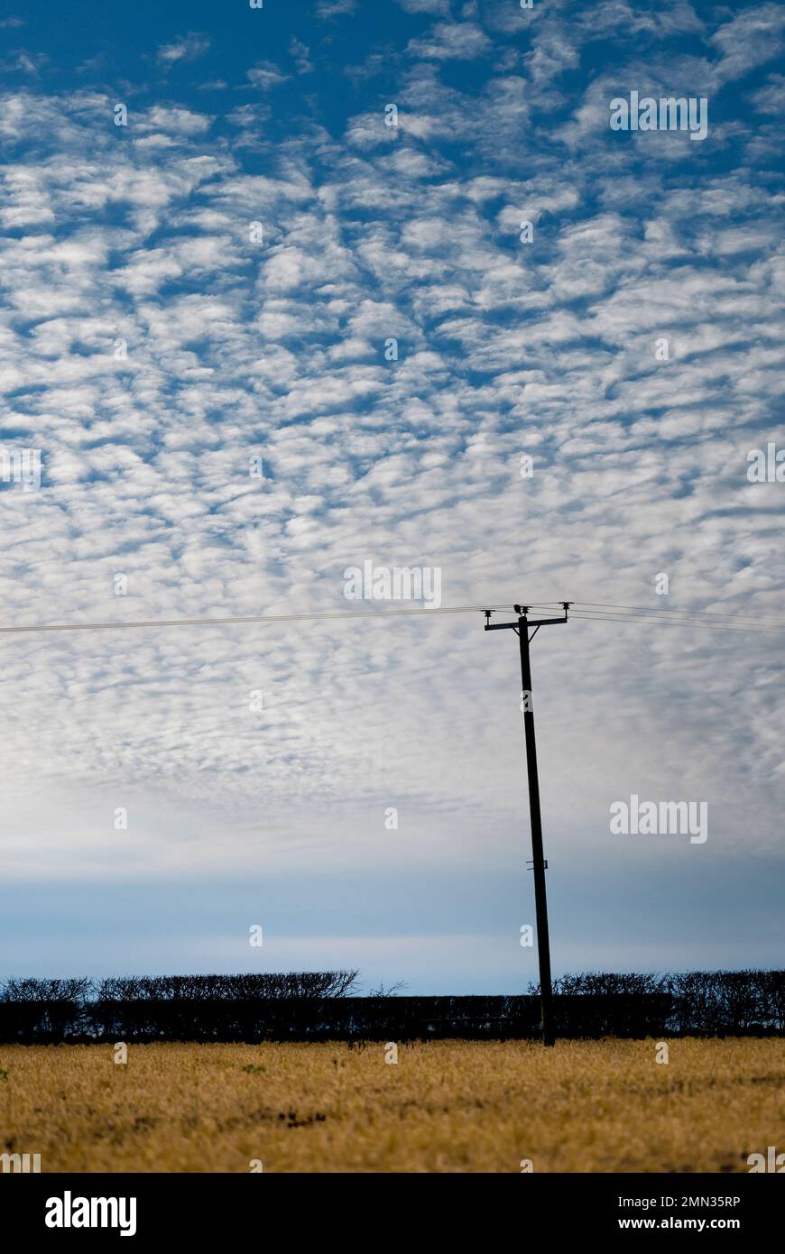 Lincolnshire - A single telegraph pole set against a dramatic sky at ...