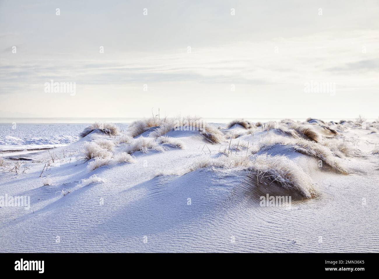 Surreal landscape of Ripple wave of sand dune covered with snow in the ...
