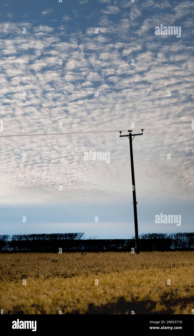 El3ectricoty pylon hi-res stock photography and images - Alamy