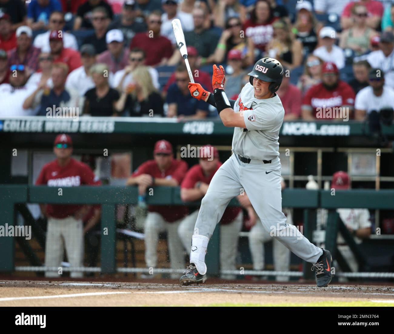 Oregon State's Adley Rutschman hits an RBI single to score Cadyn ...