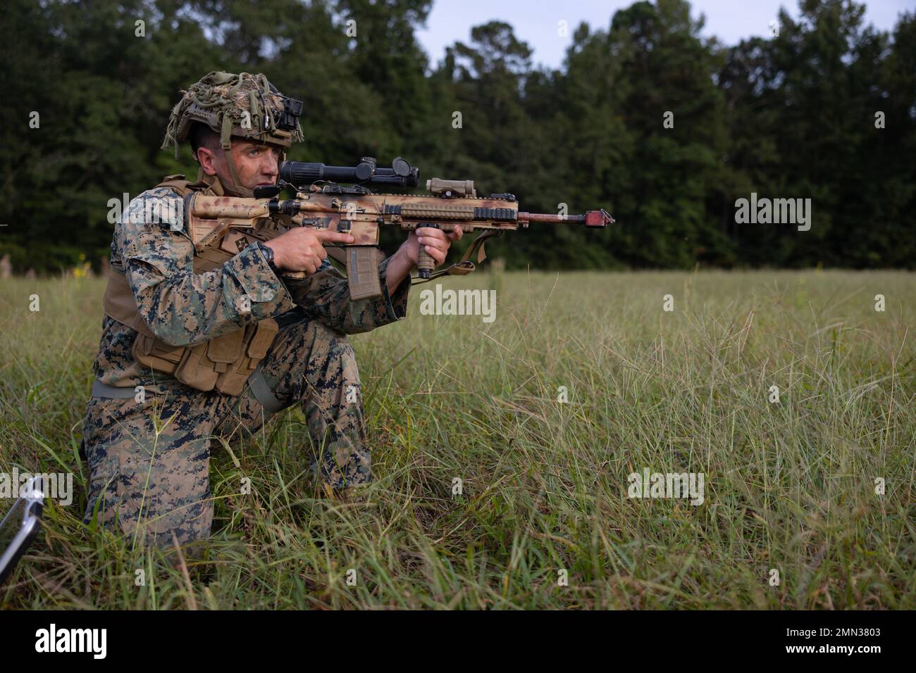 U.S Marine Corps Lance Cpl. Jeffrey Hayden, a rifleman with 1st ...