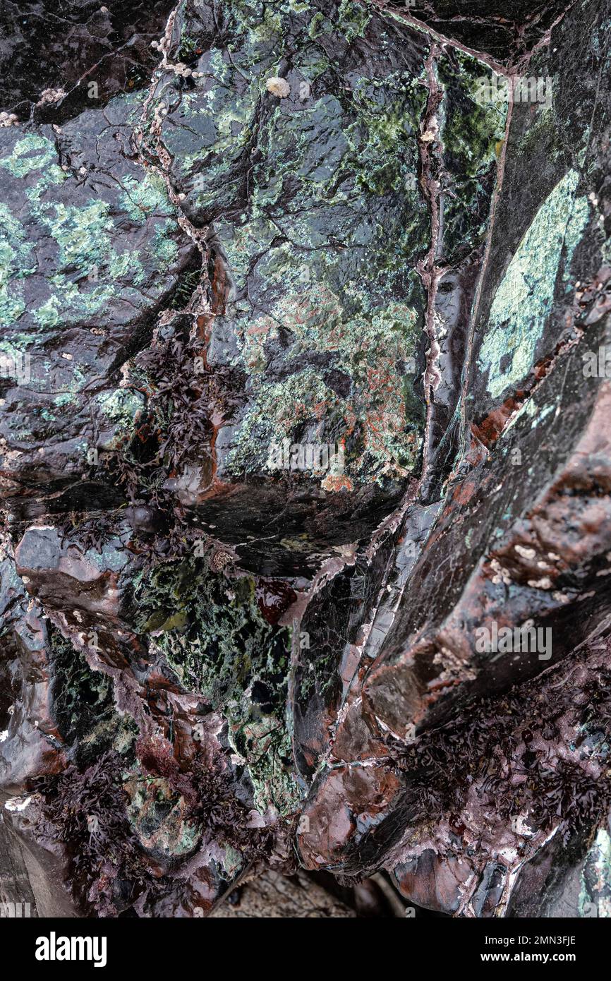 The rocks in the Porthleven Cliffs are mainly fine grained sedimentary ...