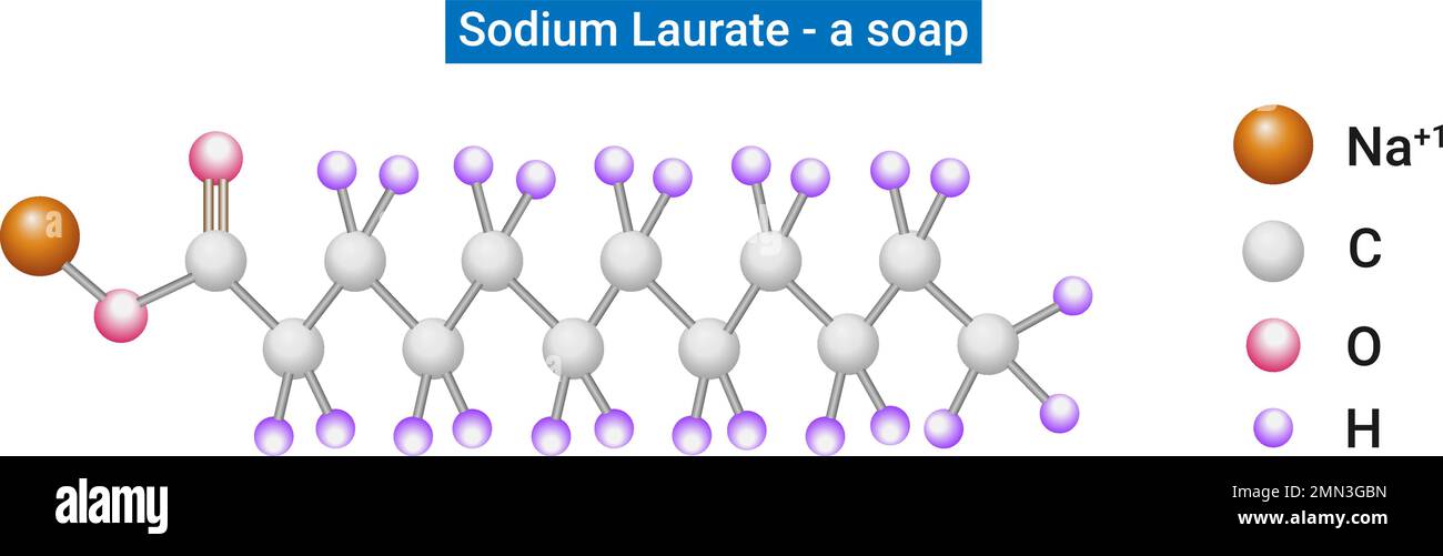 Structure of Sodium Laurate (soap Stock Vector Image & Art - Alamy