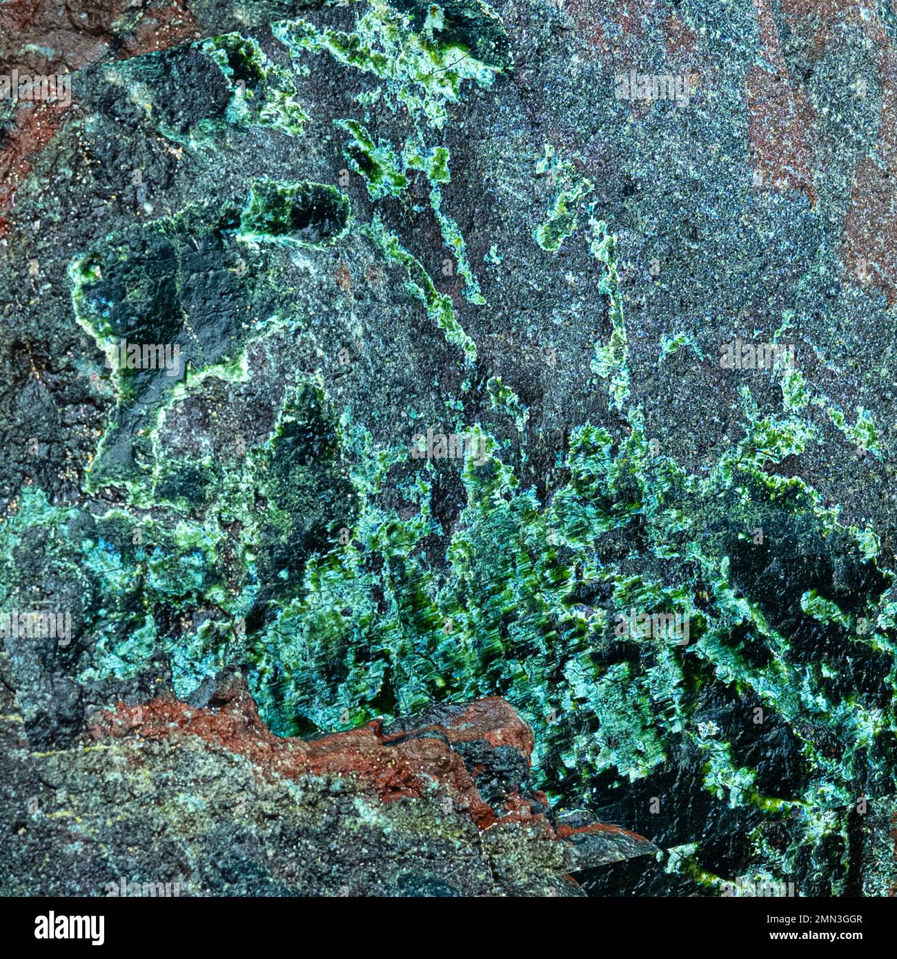 Kynance Cove Cornwall, Serpentine Rock, The Lizard, Cornwall. UK Stock ...