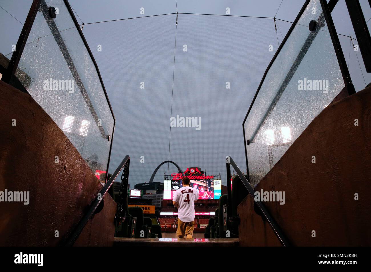 St. Louis Cardinals fan Jake Bartholomew stands in the rain as he looks ...