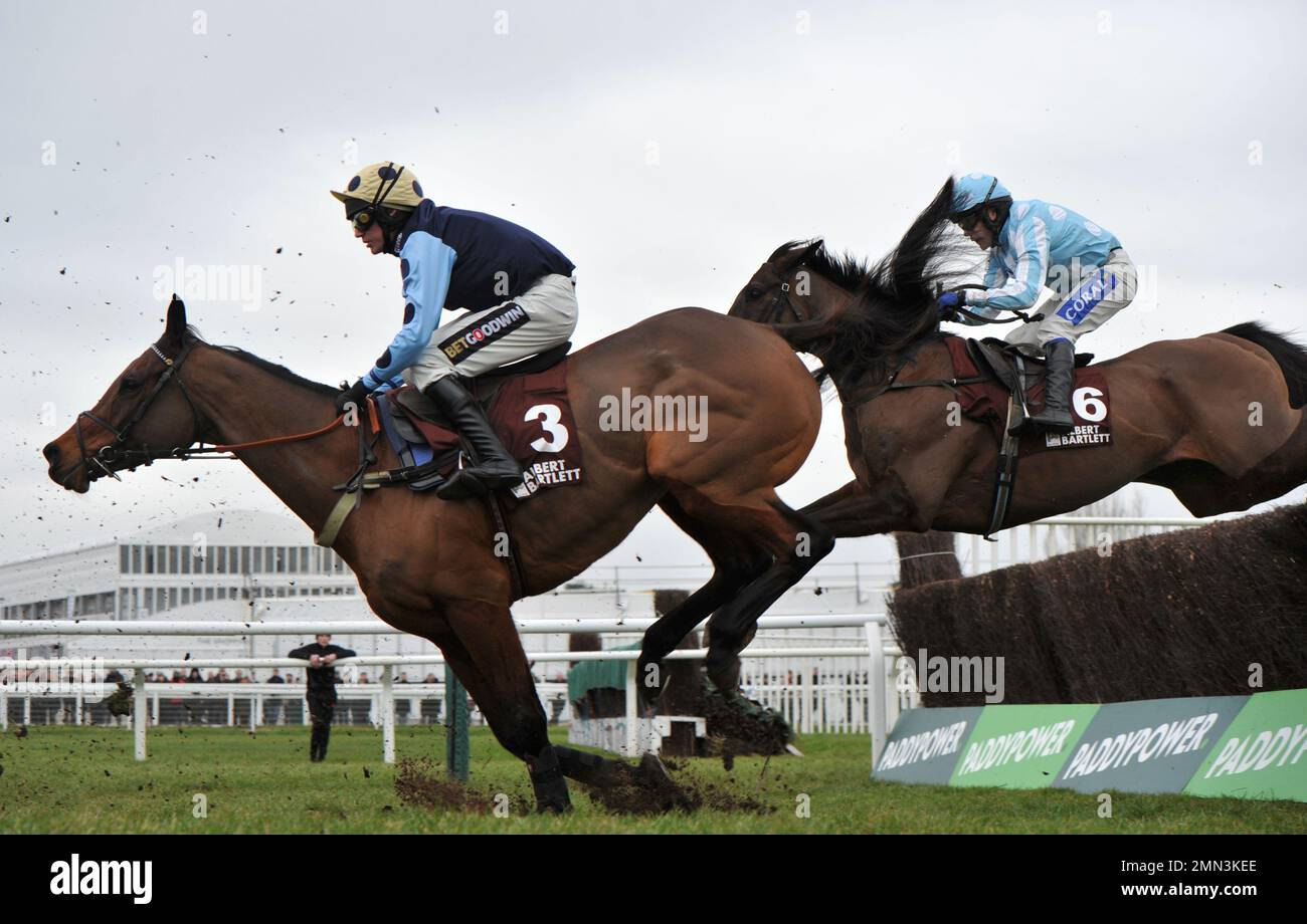Fourth race The Albert Bartlett Clarence House Chase. Edwardstone riden ...
