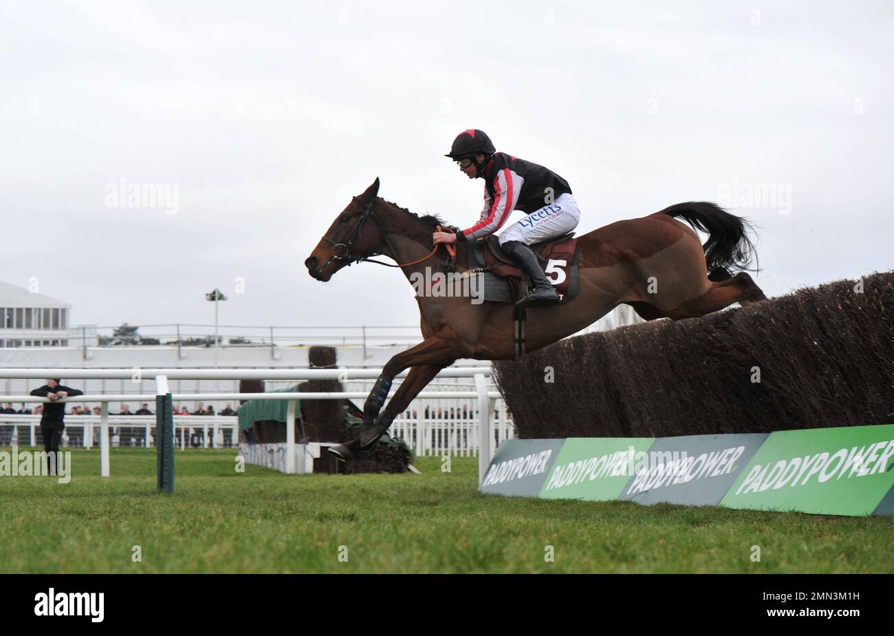 Fourth race The Albert Bartlett Clarence House Chase. Funambule Sivola ...