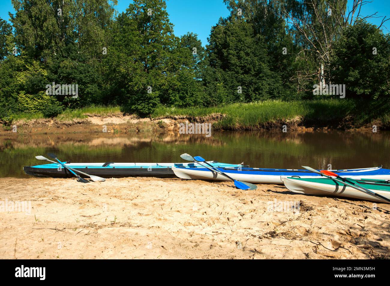 Tourist canoes with paddles stand on the river coast in summer on a ...