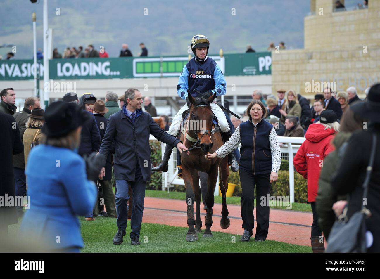 Tom cannon horse hi-res stock photography and images - Alamy