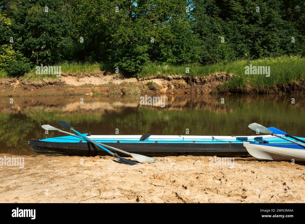Tourist canoes with paddles stand on the river coast in summer on a ...