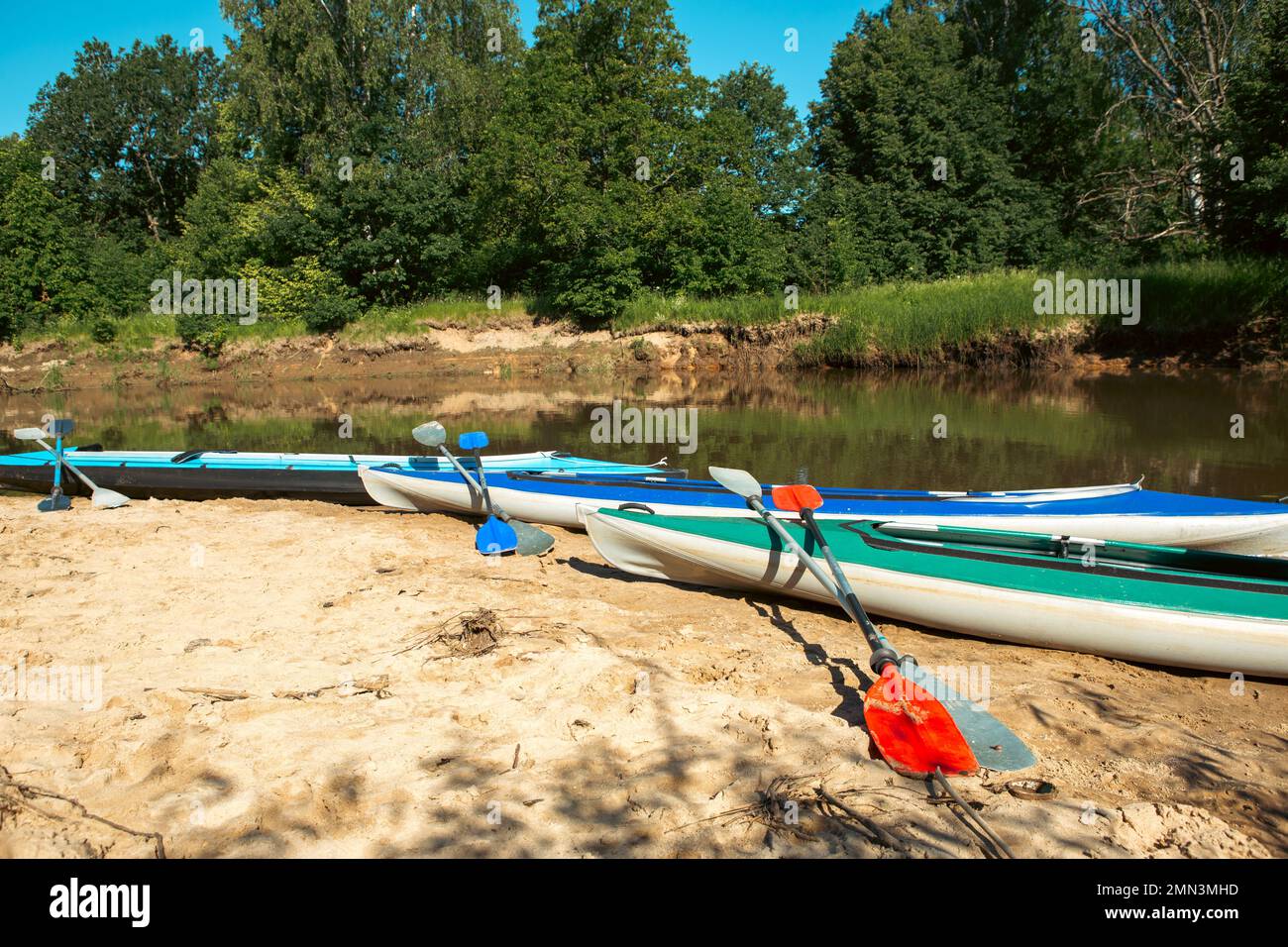 Tourist canoes with paddles stand on the river coast in summer on a ...