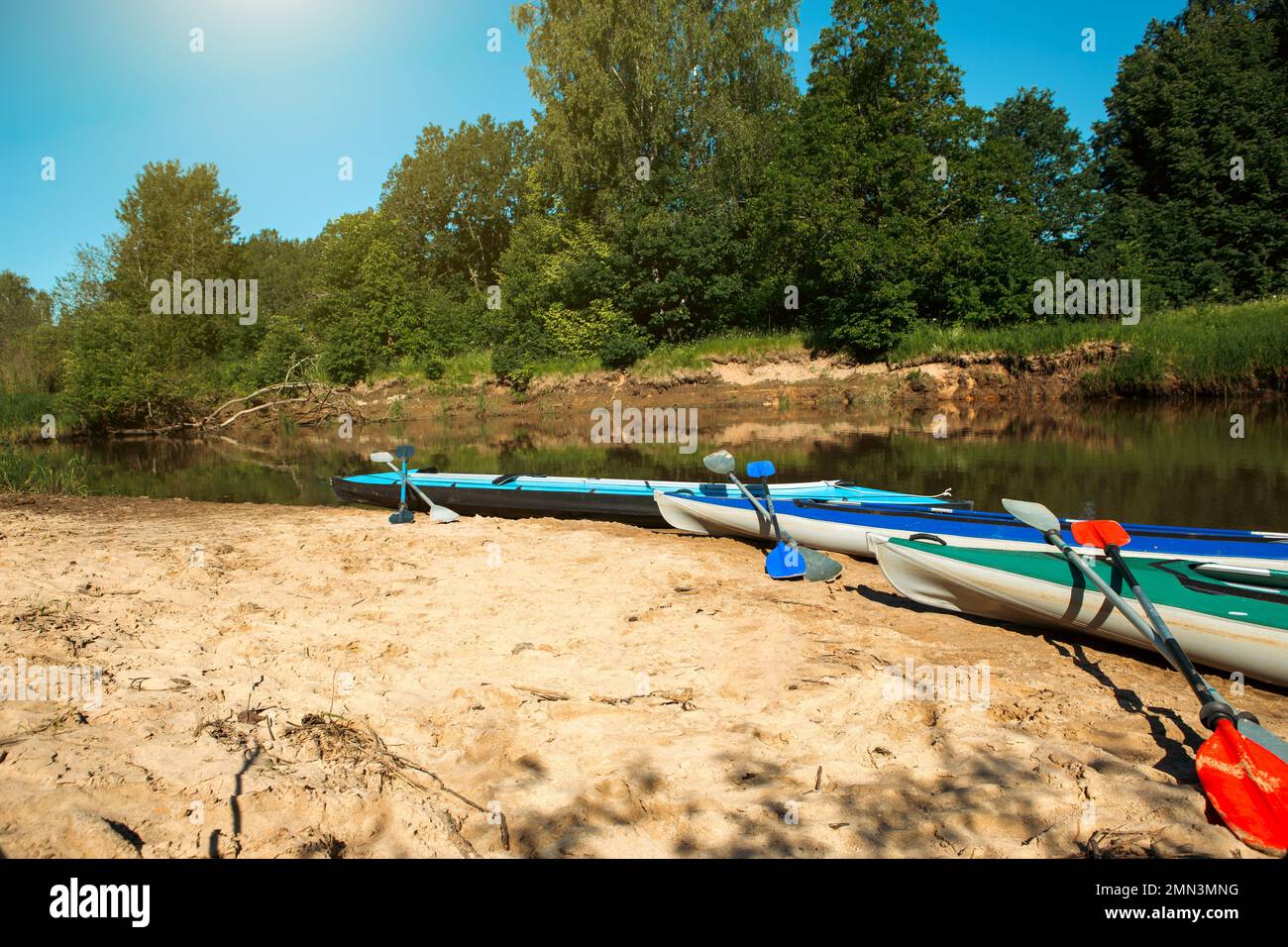 Tourist canoes with paddles stand on the river coast in summer on a ...