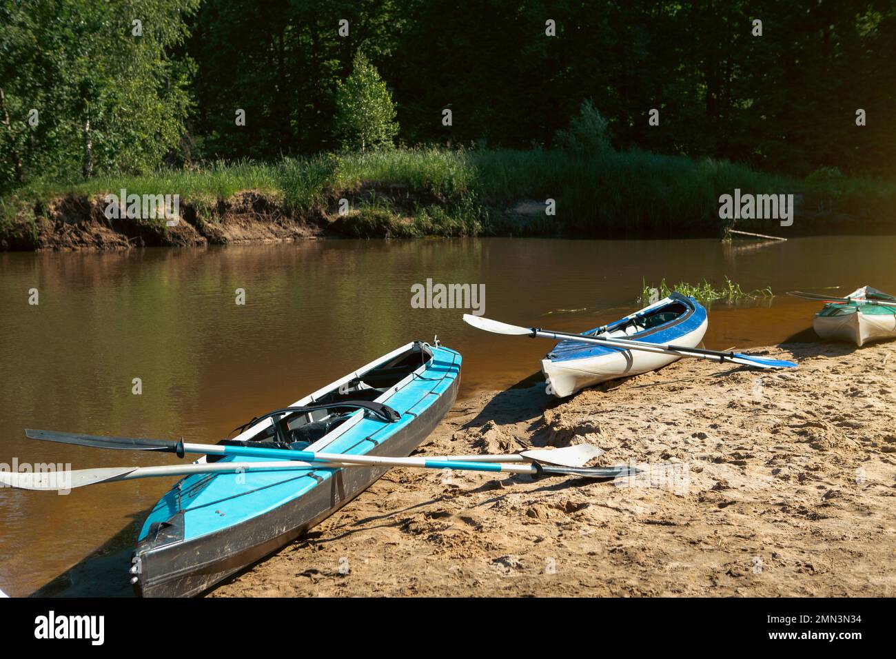 Tourist canoes with paddles stand on the river coast in summer on a ...