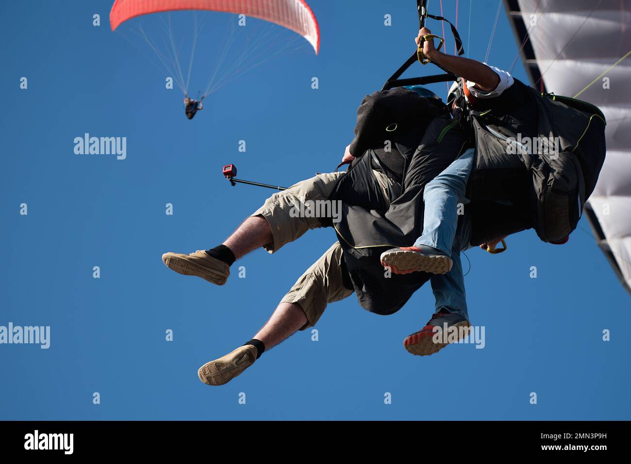 Two paraglider tandem fly against the blue sky, tandem paragliding ...