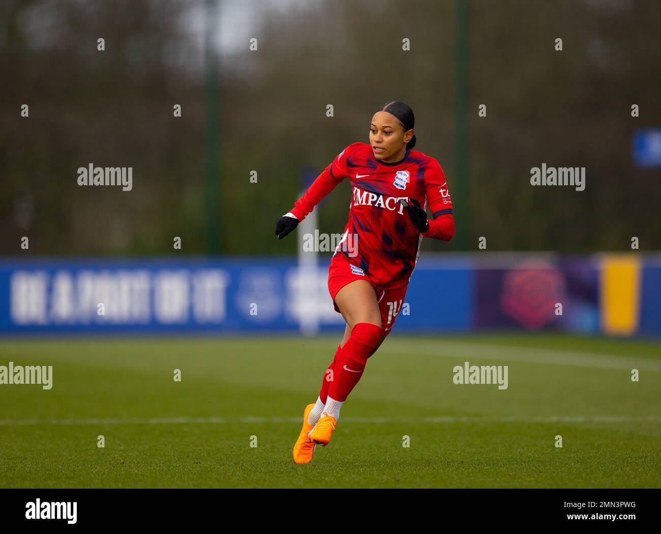 Siobhan wilson 2023 hi-res stock photography and images - Alamy