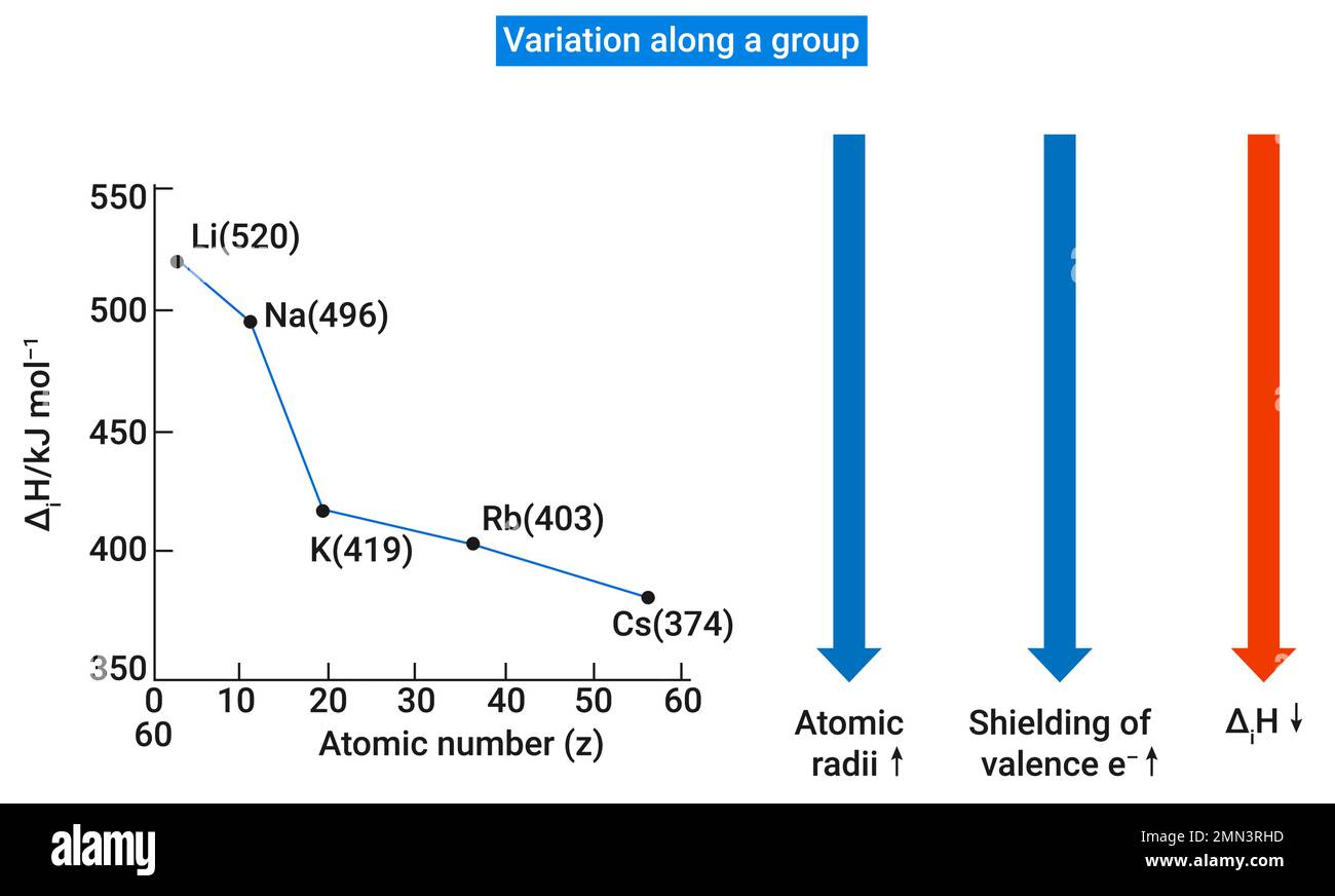 Variation along the group: The atomic radius increases down the group ...