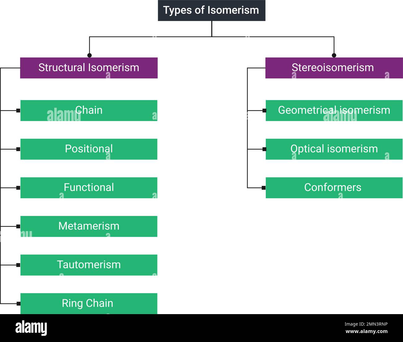 Types of Isomerism: Structural Isomerism and Stereoisomerism Stock ...