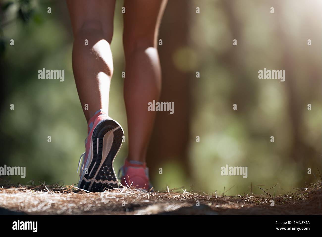 Athlete woman running at forest track, detail running shoes Stock Photo ...