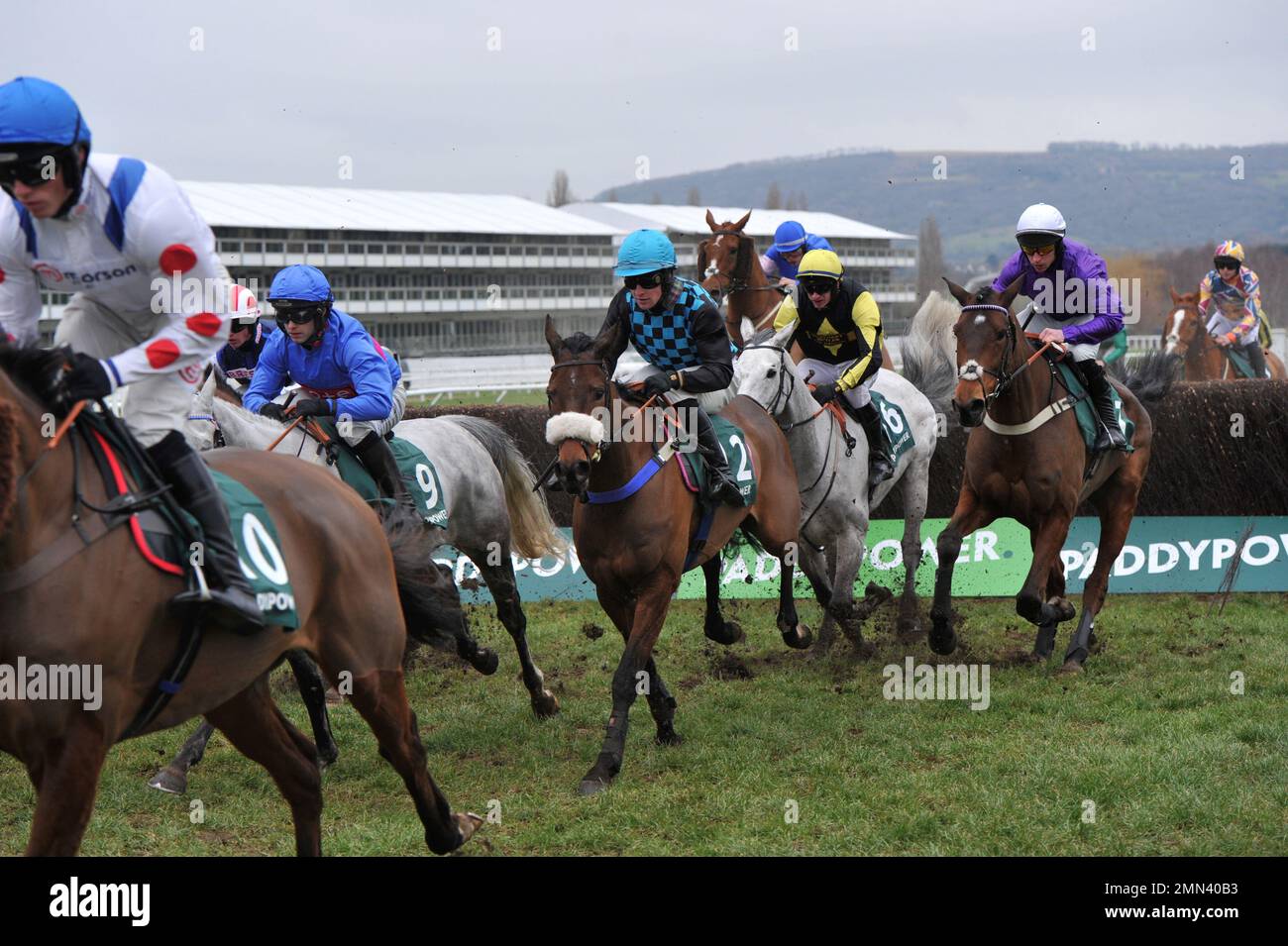 Race five. The Paddy Power Cheltenham Podcast Chase. Nocte Volatus ...