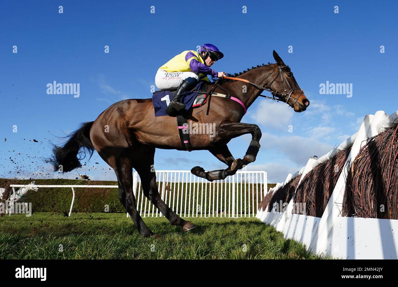 Atlanta Brave and Richard Patrick coming home to win the Cazoo Novices ...