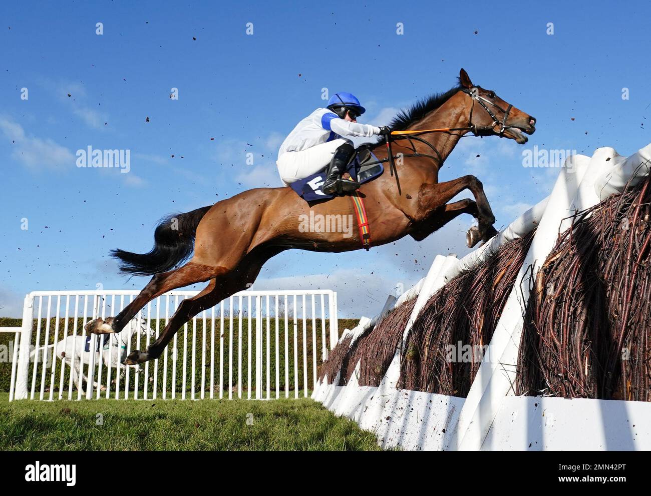 Hauraki Gulf and Chris Ward in action during the Cazoo Novices' Hurdle ...