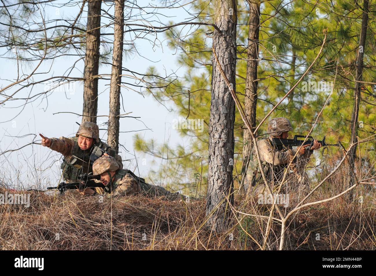 Target identification hi-res stock photography and images - Alamy
