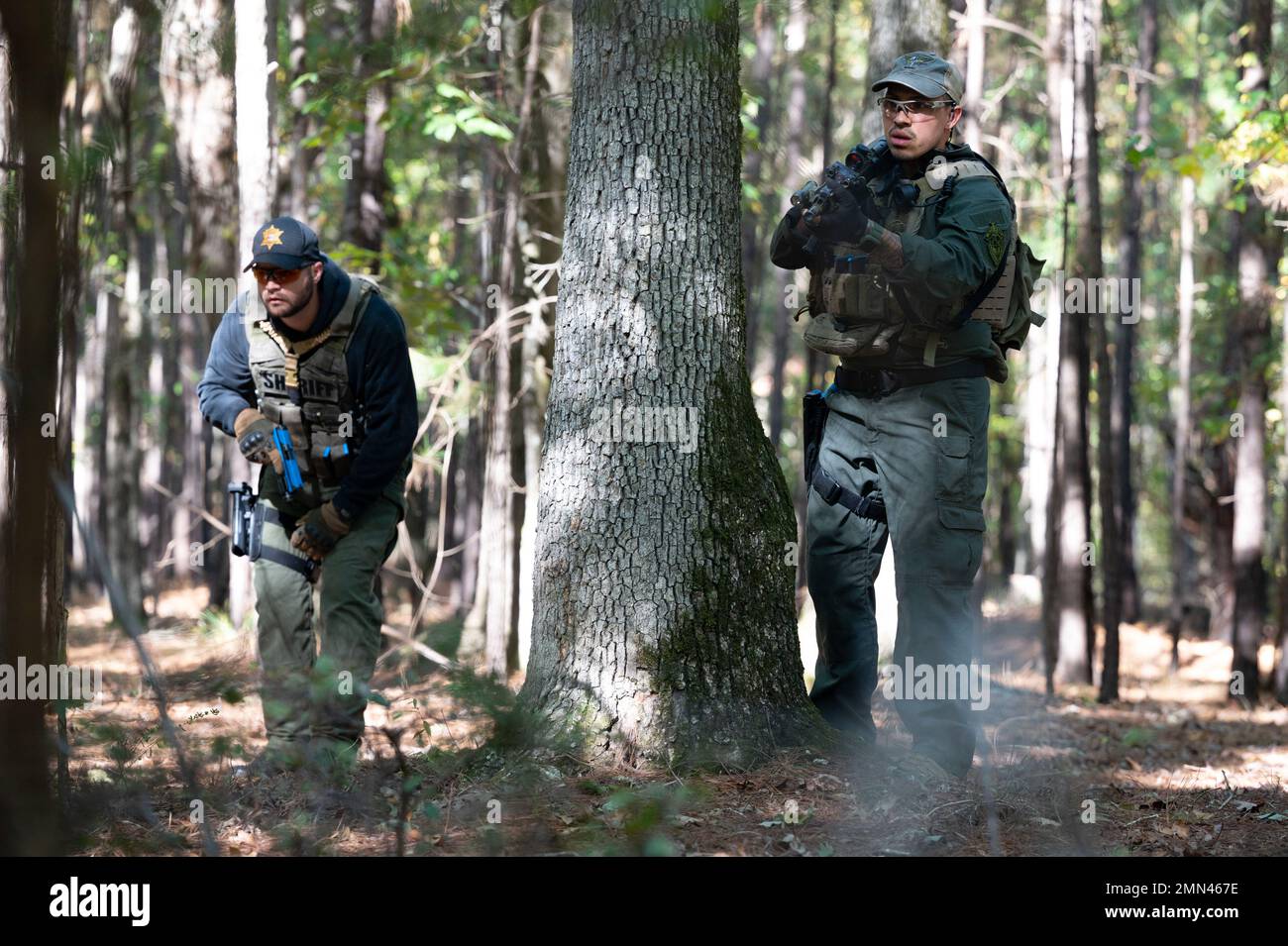 Suspect tree hi-res stock photography and images - Alamy