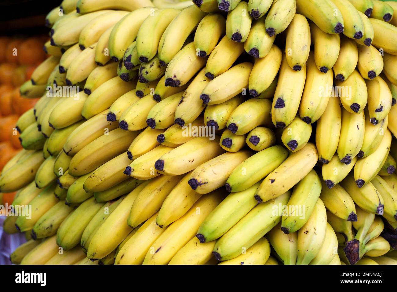 Bananas on the market. Harvest of yellow ripe bananas is sold at the ...