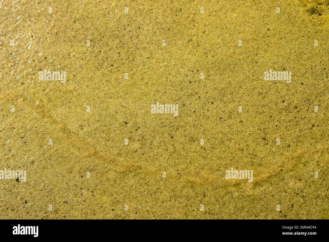 Texture of the wastewater, green dirty water background. High quality ...