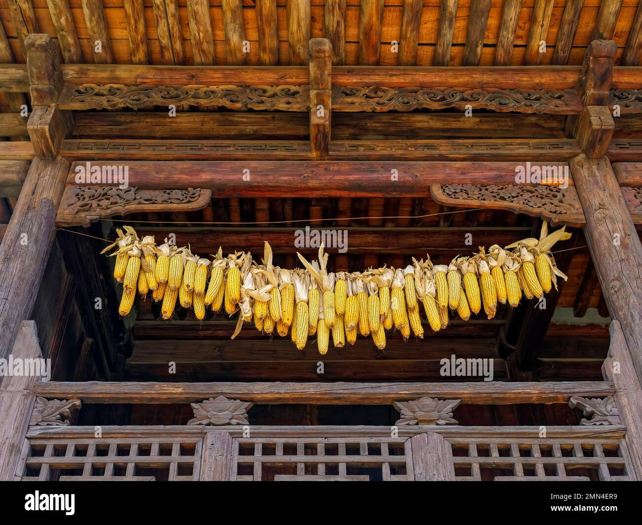 Drying Corn. Ethnic Cultures Park. Beijing. China Stock Photo - Alamy