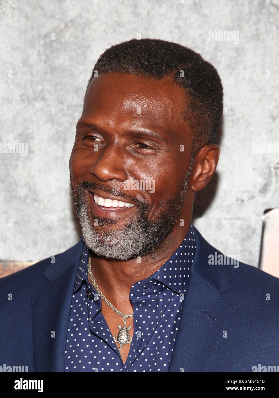 Curtiss Cook attends the premiere of the Netflix original series Marvel ...