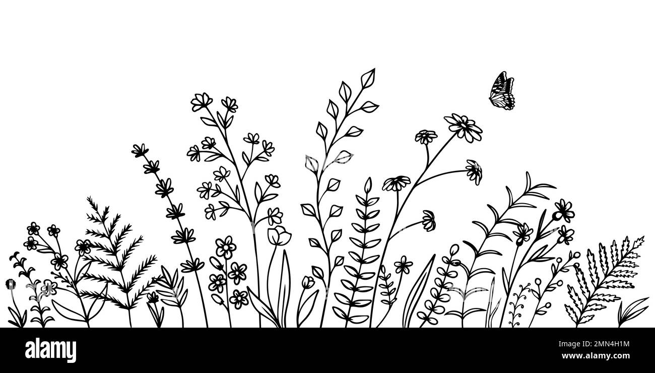 Wild field flowers. Hand drawn doodle sketch style wild floral element ...
