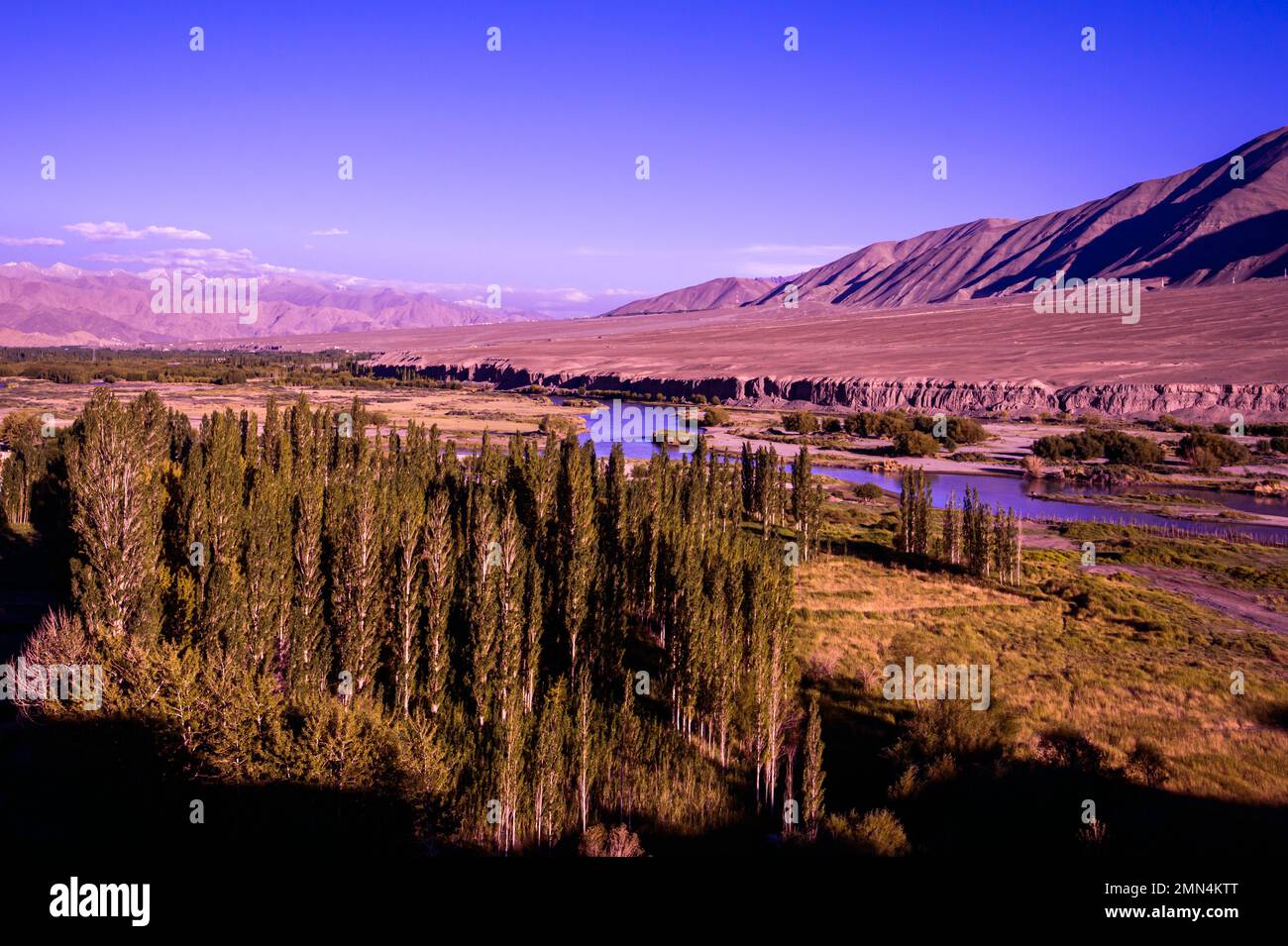 Landscape from Diskit Monastery. Diskit Gompa is the oldest and largest ...