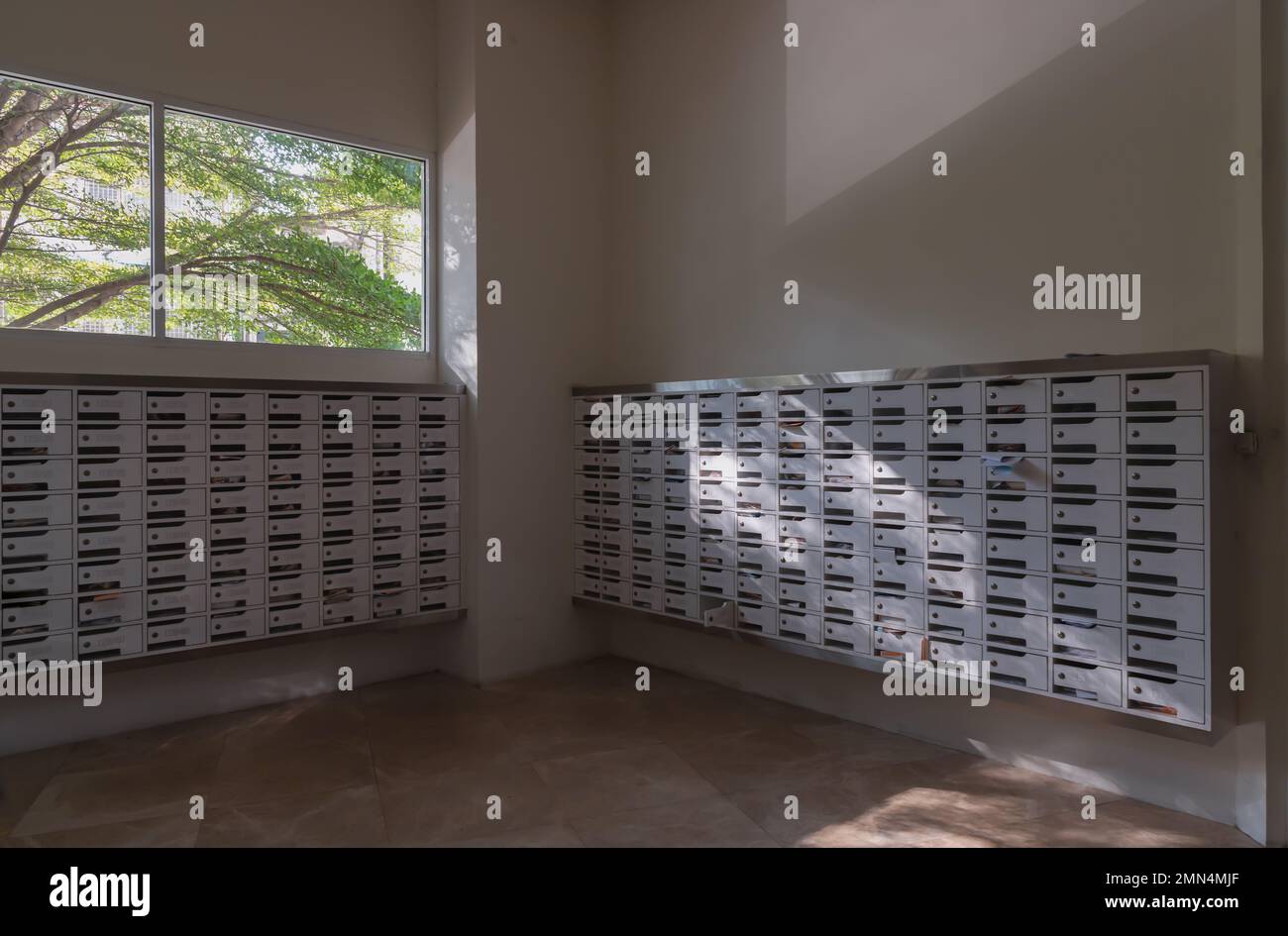 Bangkok, Thailand - 28 Jan, 2023 - Windows view with big tree ...