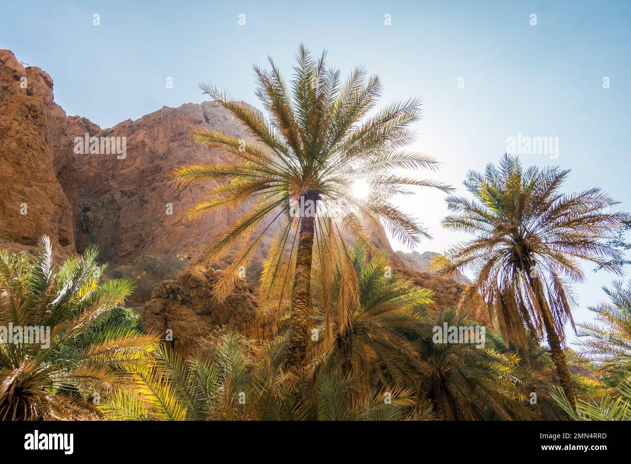 Oman saudi arabia hi-res stock photography and images - Alamy